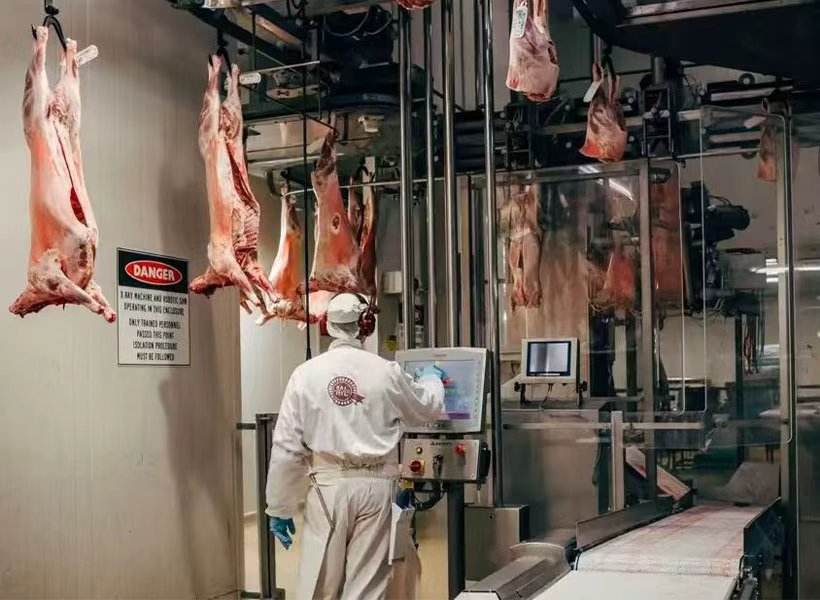 CASE STUDIES | MEAT PROCESSING INDUSTRY | PROGRESSIVE MEATS – ARMOR-X